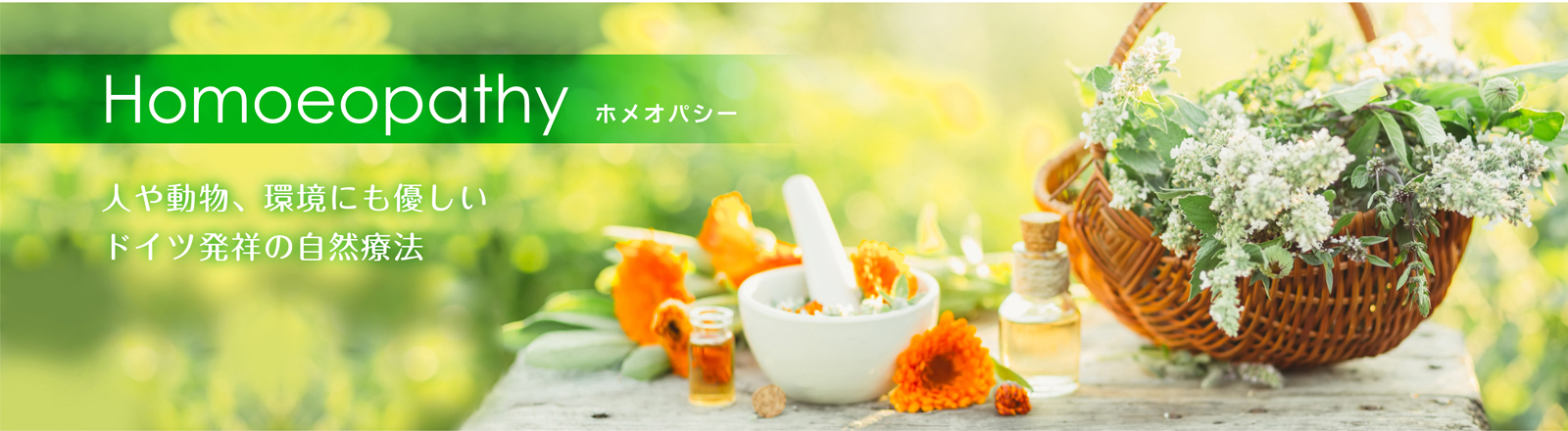 ホメオパシーとは 日本ホメオパシーセンター鎌倉藤沢